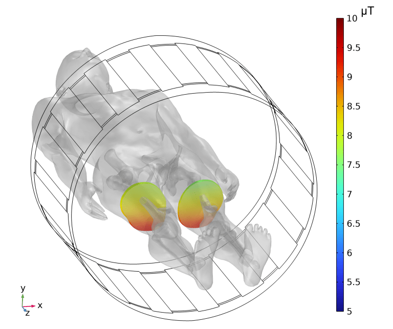 B1+RMS limits on MR Conditional labeling – MED Institute
